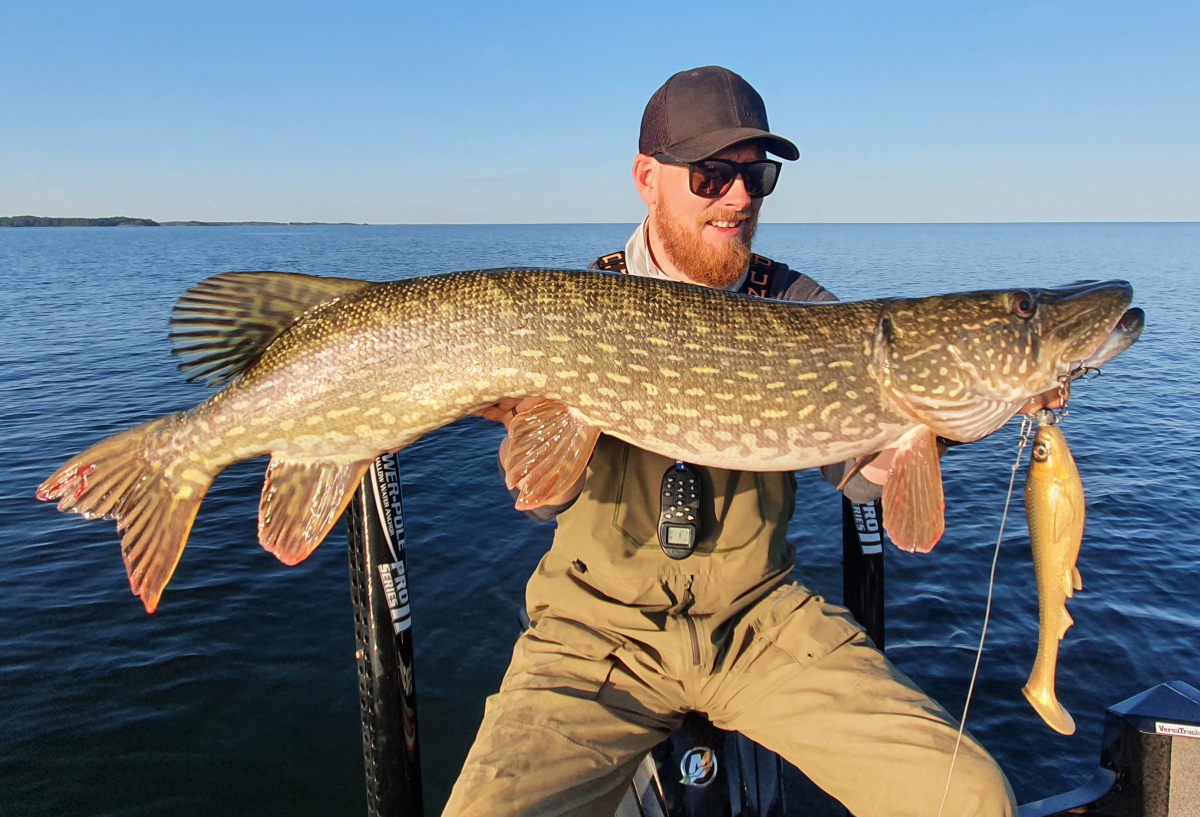 Luckie Approved! - News & Articles - www.high5lures.com